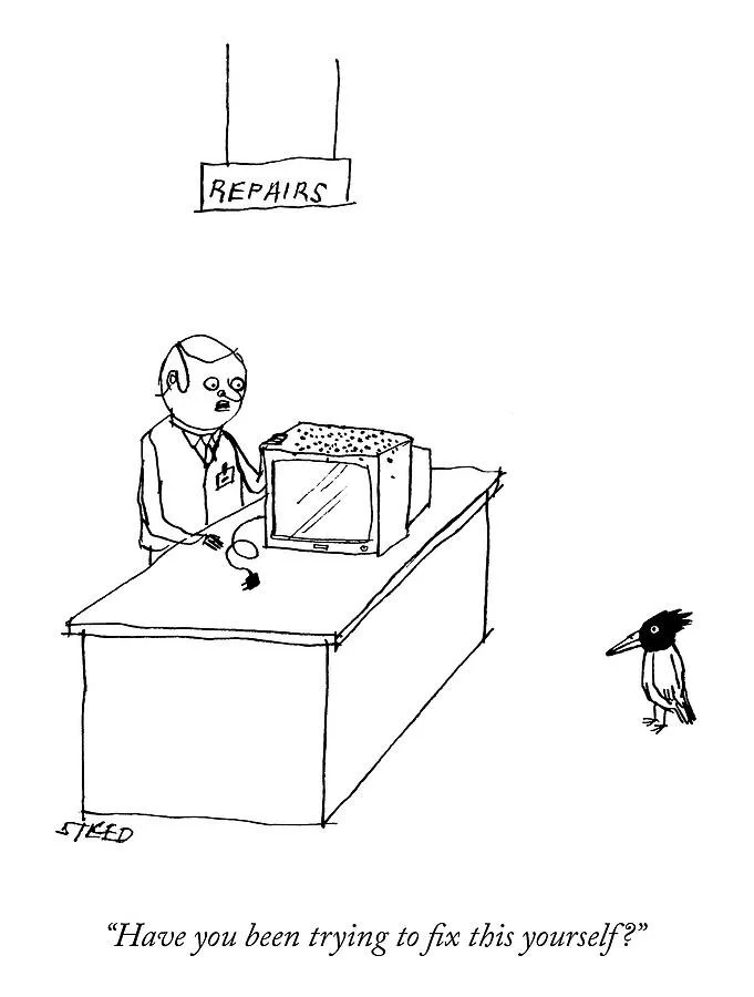 Artist Spotlight: Ed Steed - New Yorker Cartoonist Jason Chatfield