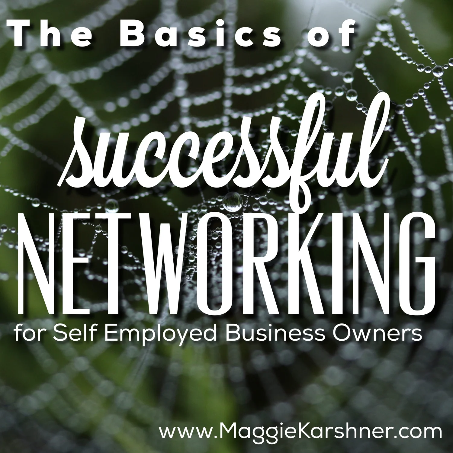 The Basics of Successful Networking — Maggie Karshner, self-employment ...