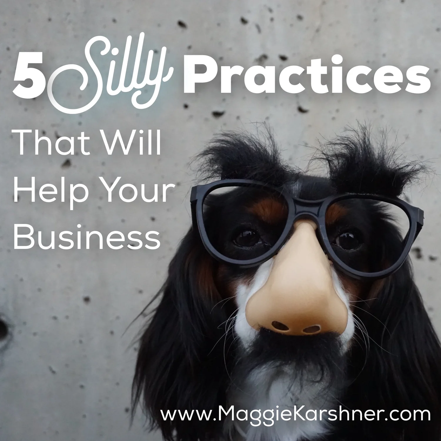 5 Silly Practices That Will Help Your Business — Maggie Karshner, self ...