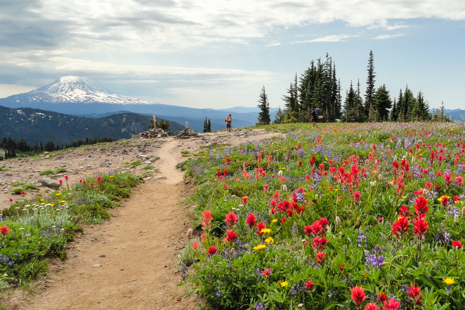 Goat Rocks Wilderness Backpacking Guide | CleverHiker