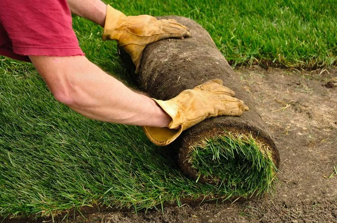 Online Store — The Mustard Seed Landscape and Garden Center