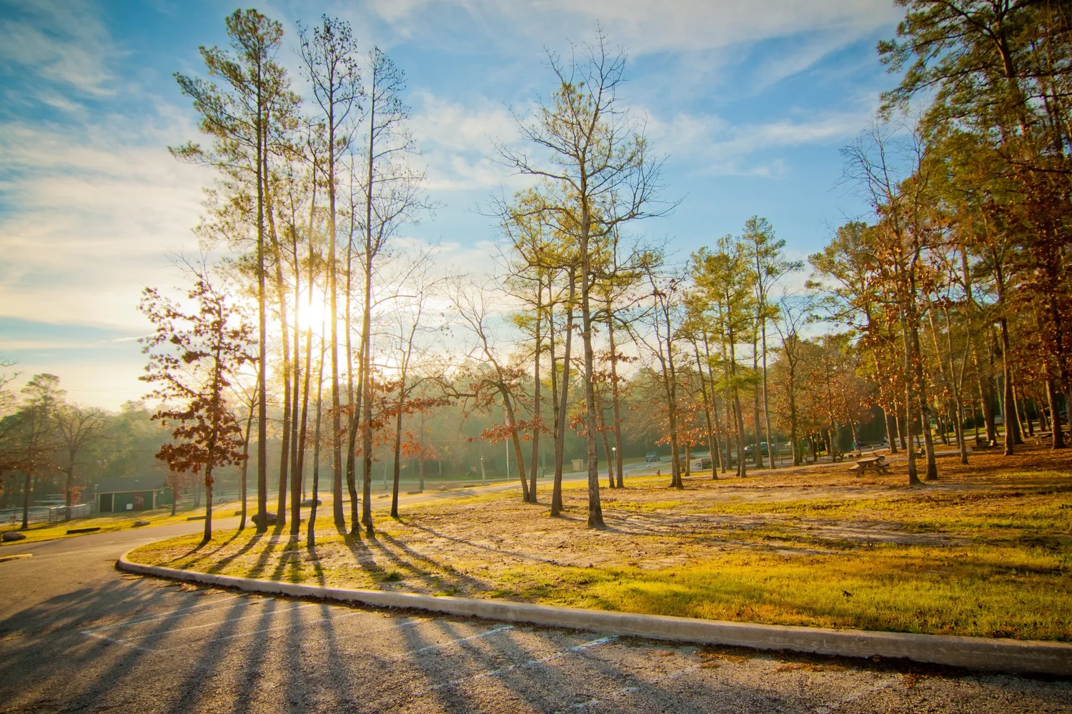 Donations — Trinity Pines Conference Center