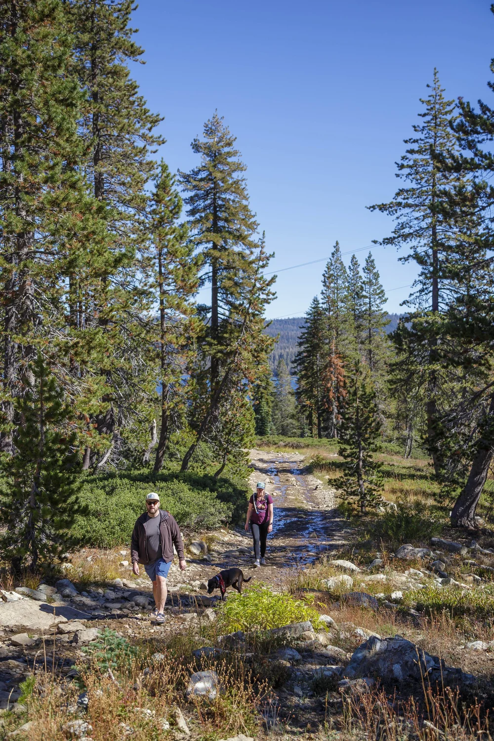 Oct 4 - Oct 9 : Gold Lake Trail, Carson City, and onwards to Lone Pine ...