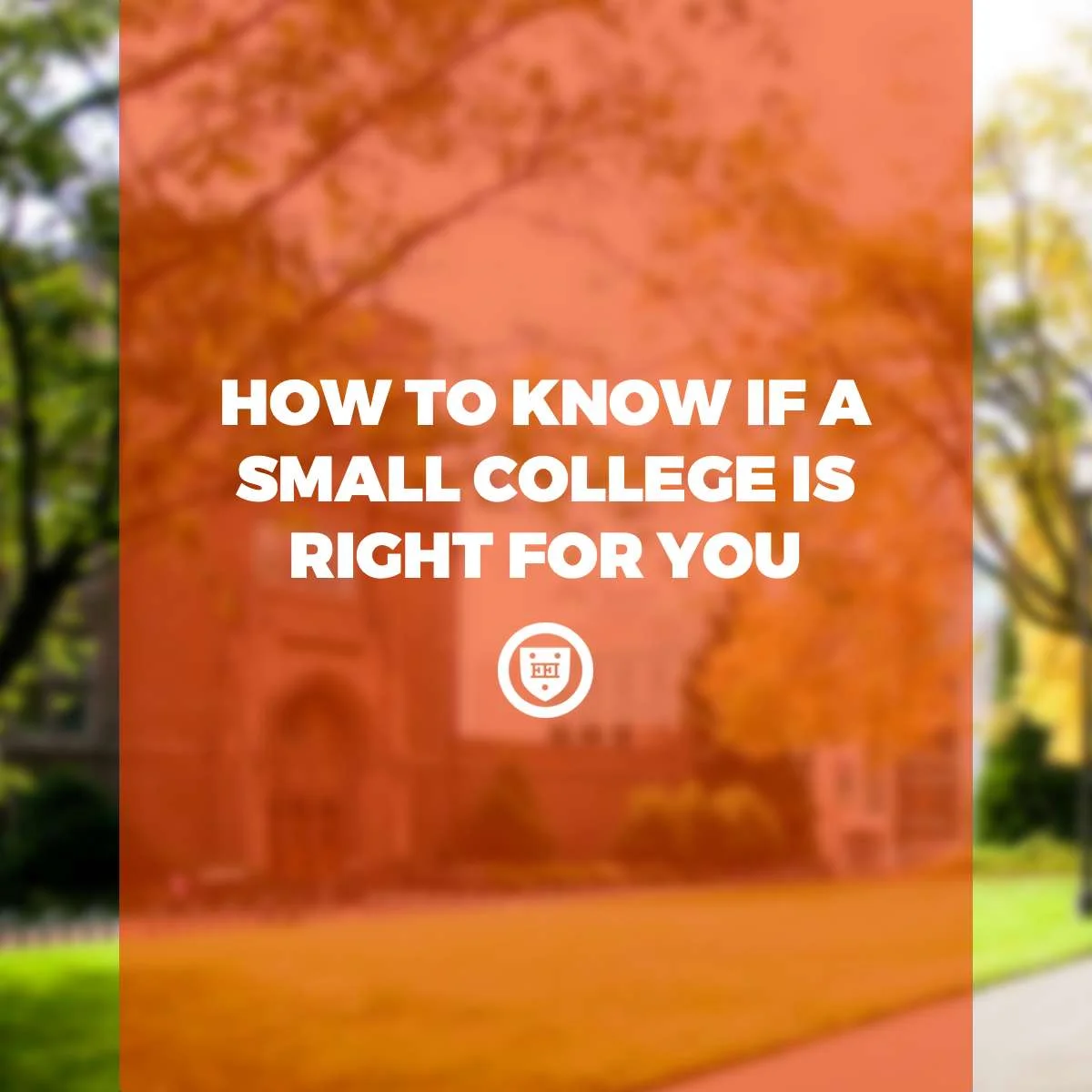 How to Know if a Small College is Right for You — Elite Educational ...