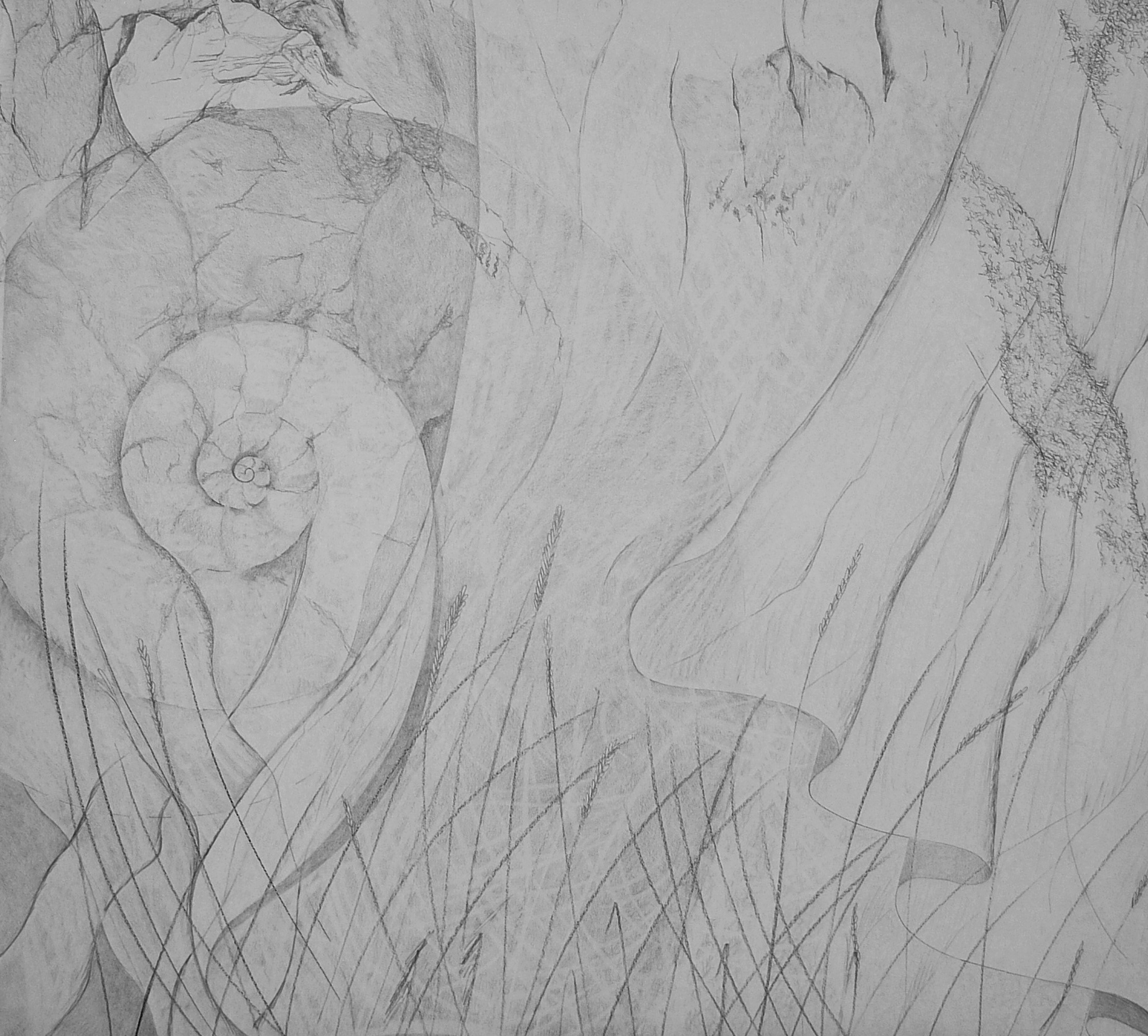 Portfolio — Elizabeth Buckley Tapestry Artist