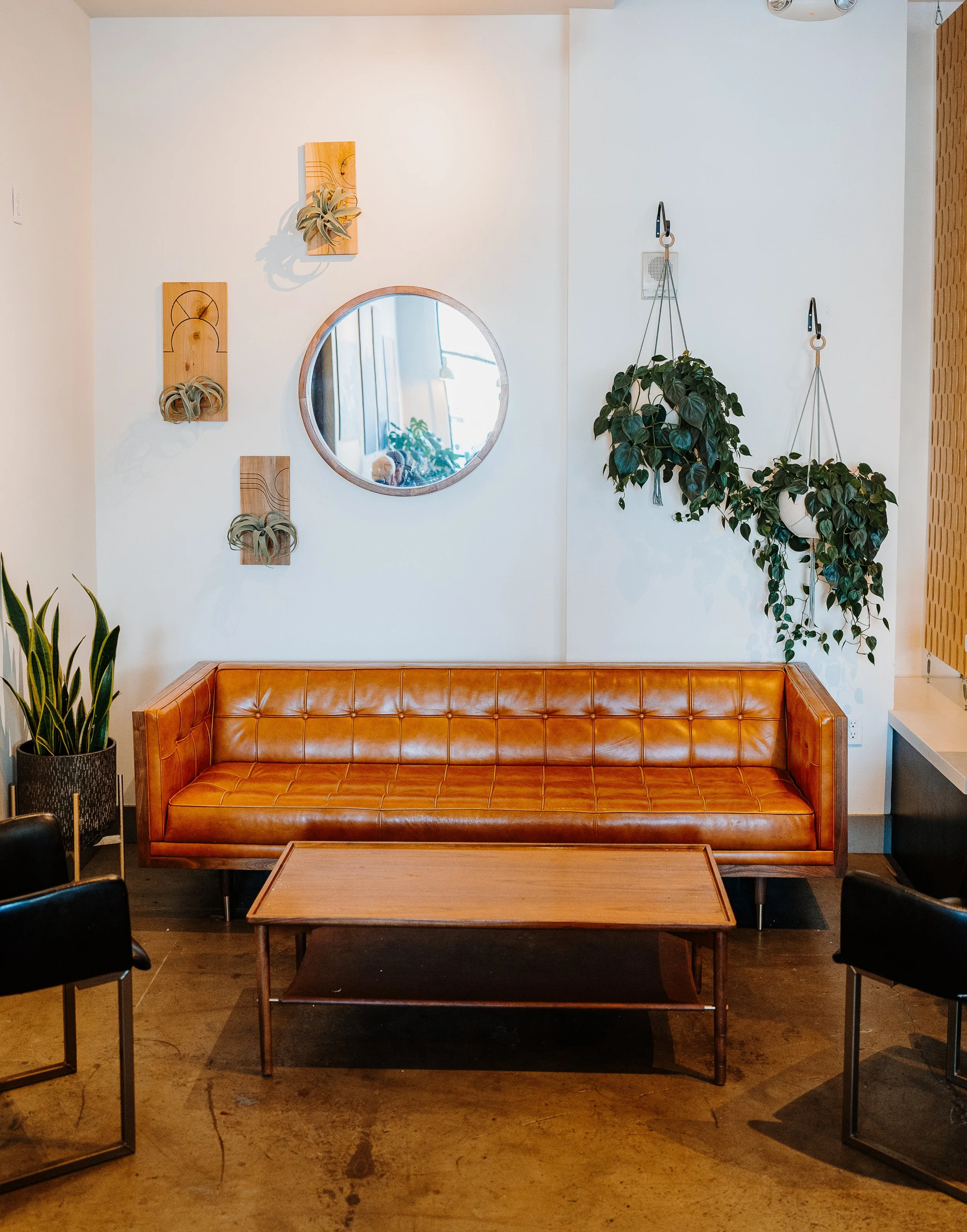 Backporch Coffee Roasters