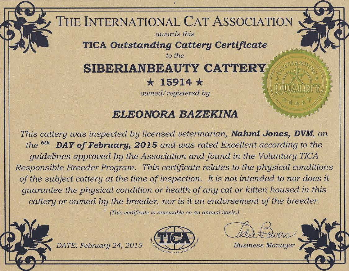 Siberian Beauty Cattery