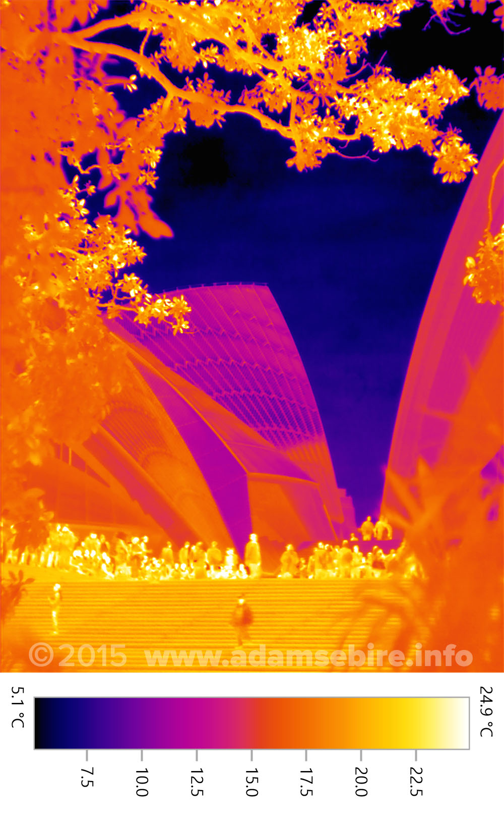 Thermographic thermal imaging art — Adam Sébire