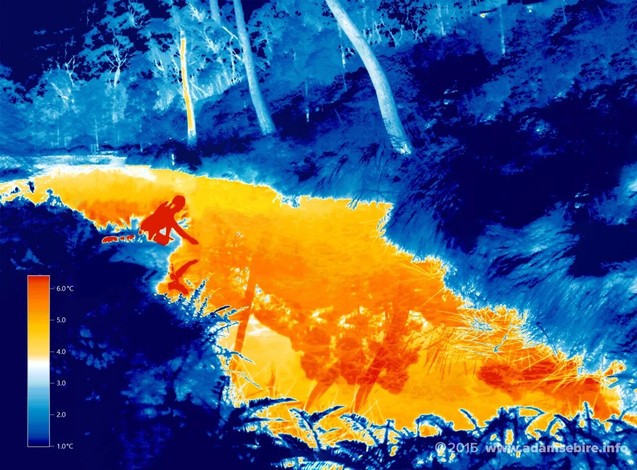 Thermographic thermal imaging art — Adam Sébire