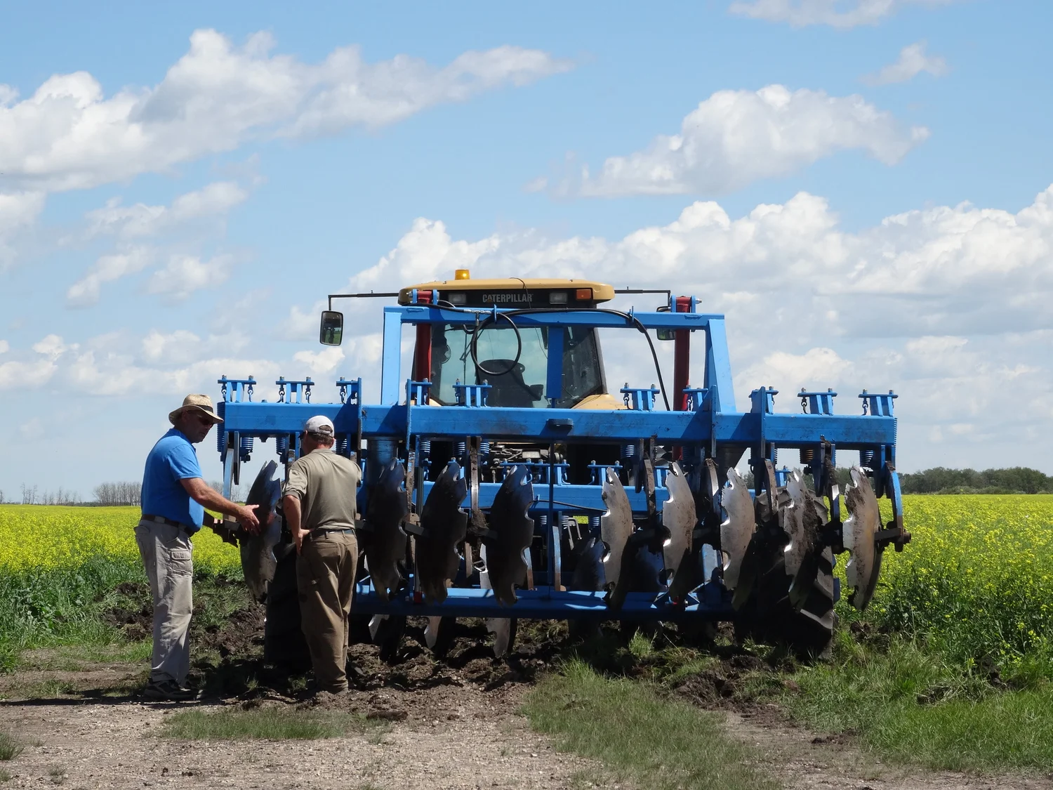 Breaking Disc — Cardale Tech Corp.