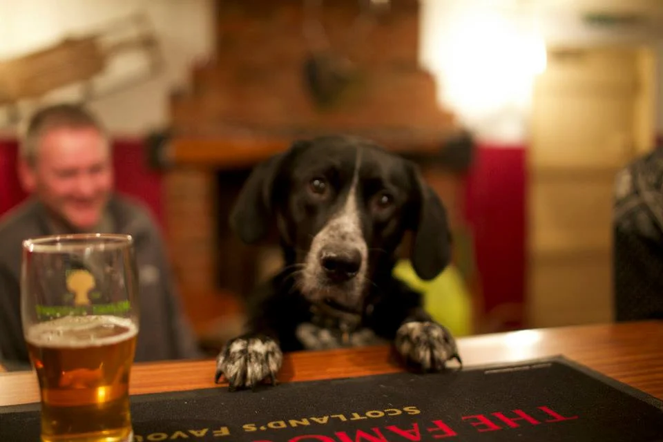 Gallery — The Compasses Inn