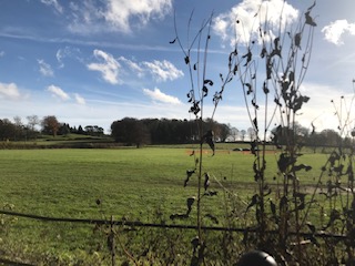 Gallery — The Compasses Inn