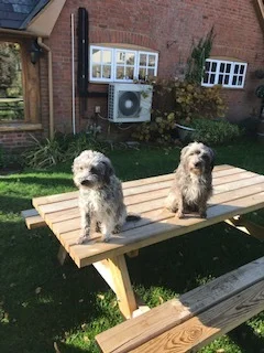 Gallery — The Compasses Inn