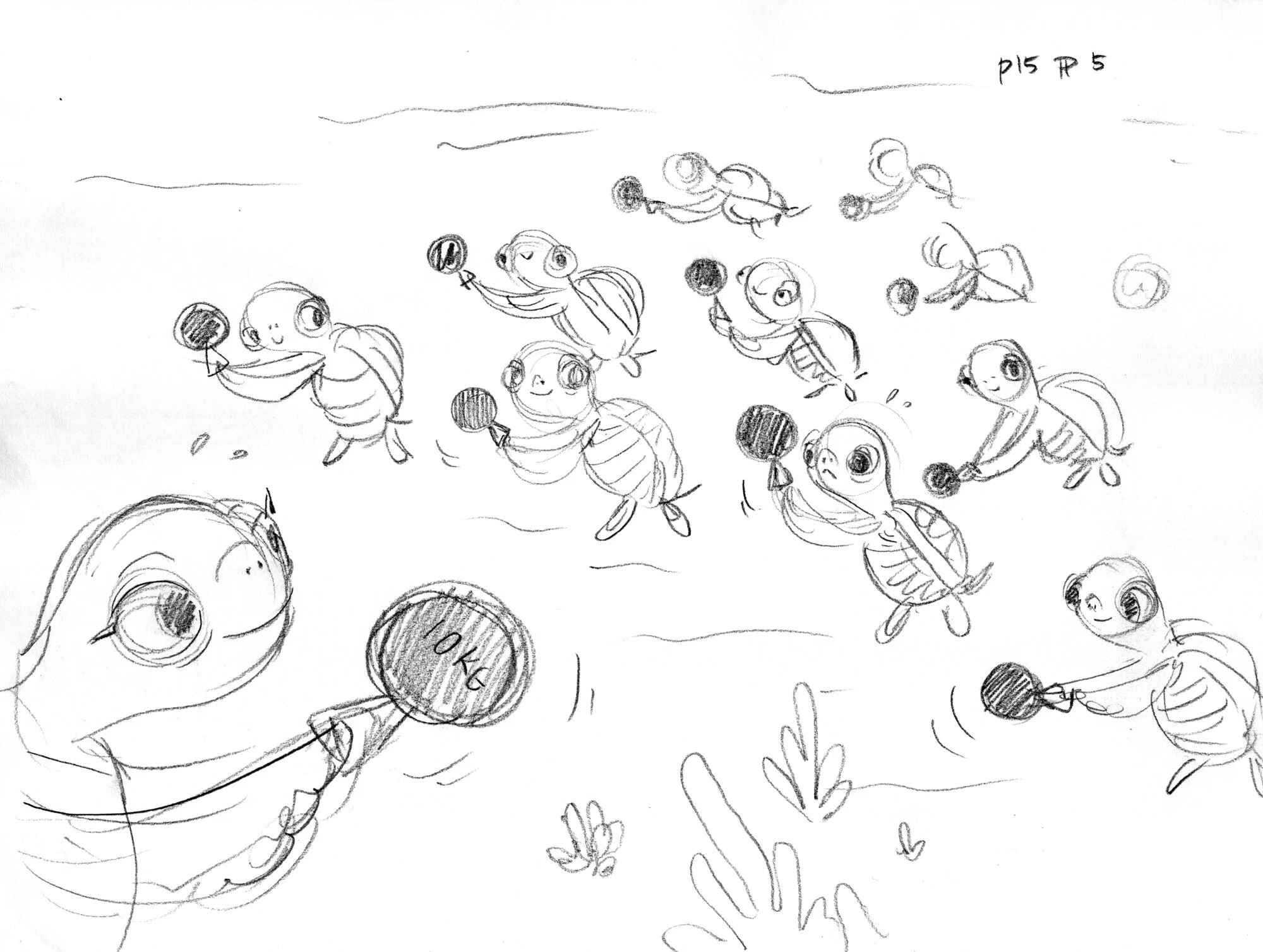 Lulu - the Turtle that Stayed — Stasia Burrington