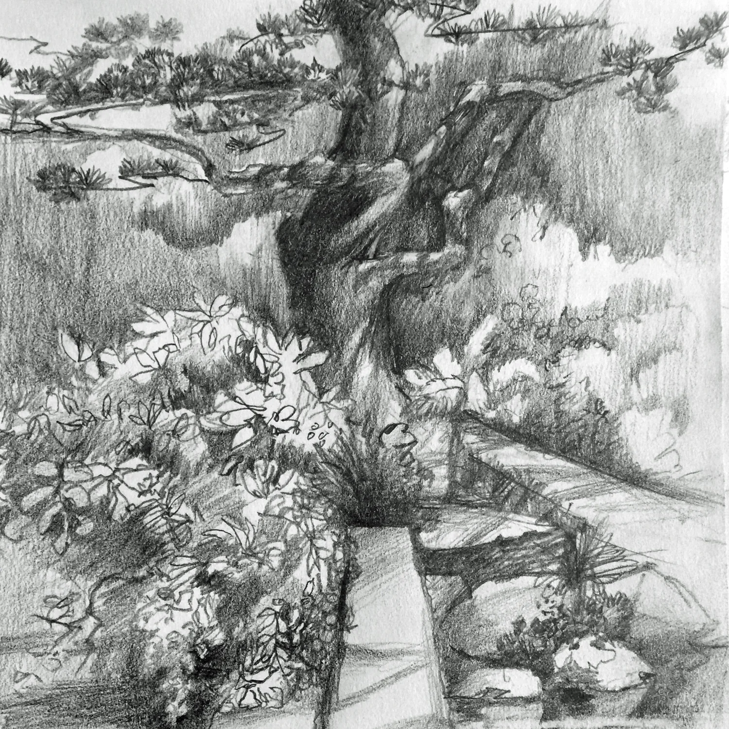Famous Pencil Drawings Nature