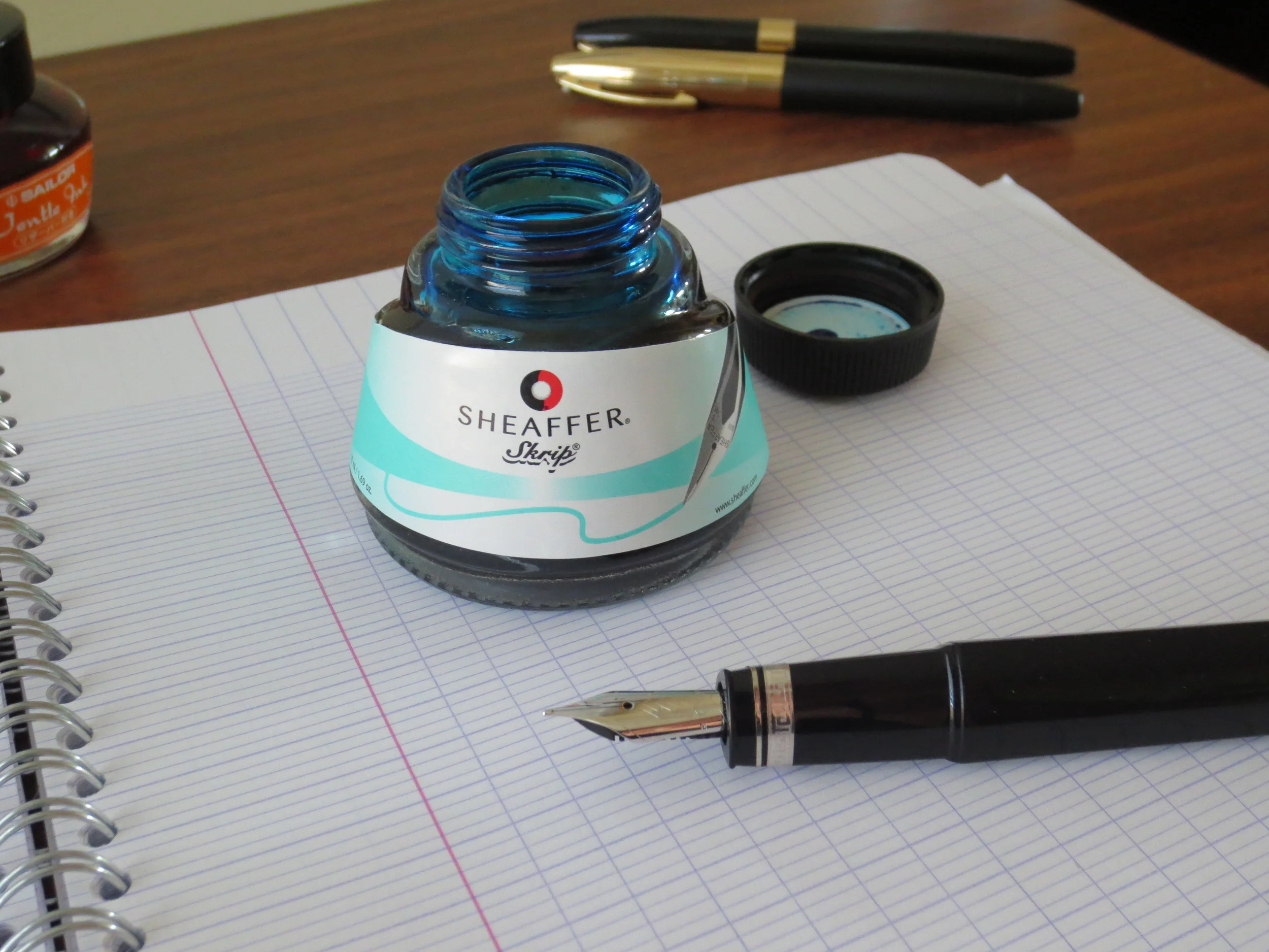 Ink Review: Sheaffer Skrip Turquoise — The Gentleman Stationer