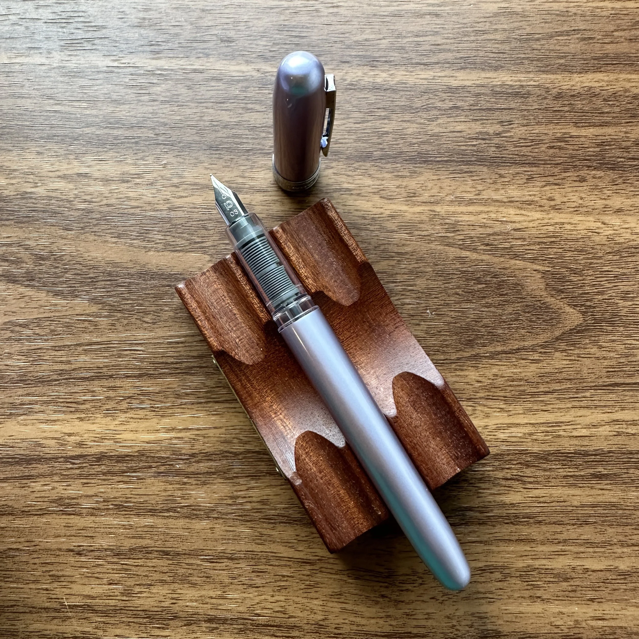 Platinum Plaisir Fountain Pens (Multiple Colors) — The Gentleman Stationer