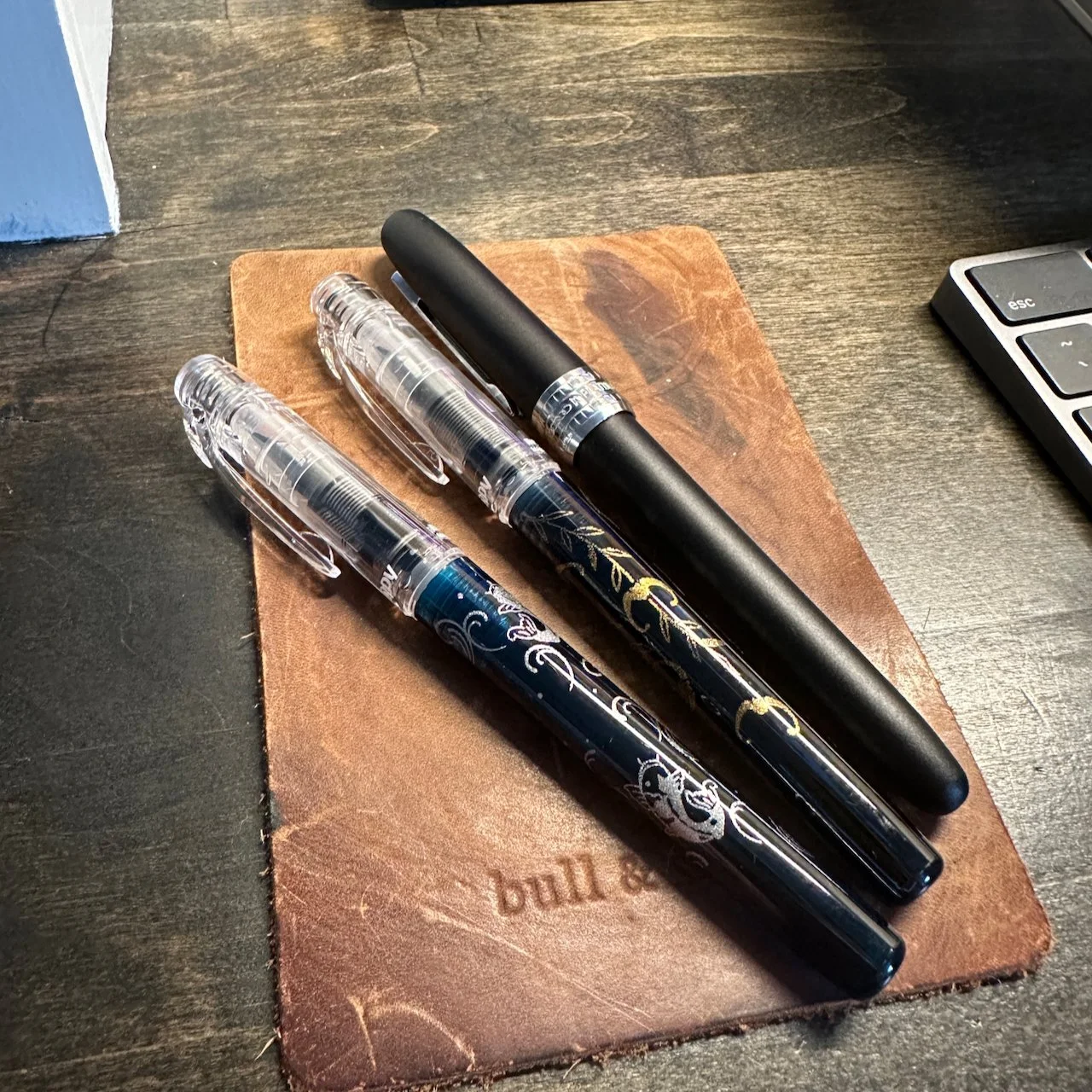 Pen Review: Platinum Preppy Wa Modern Maki-e, Season 2 — The Gentleman ...