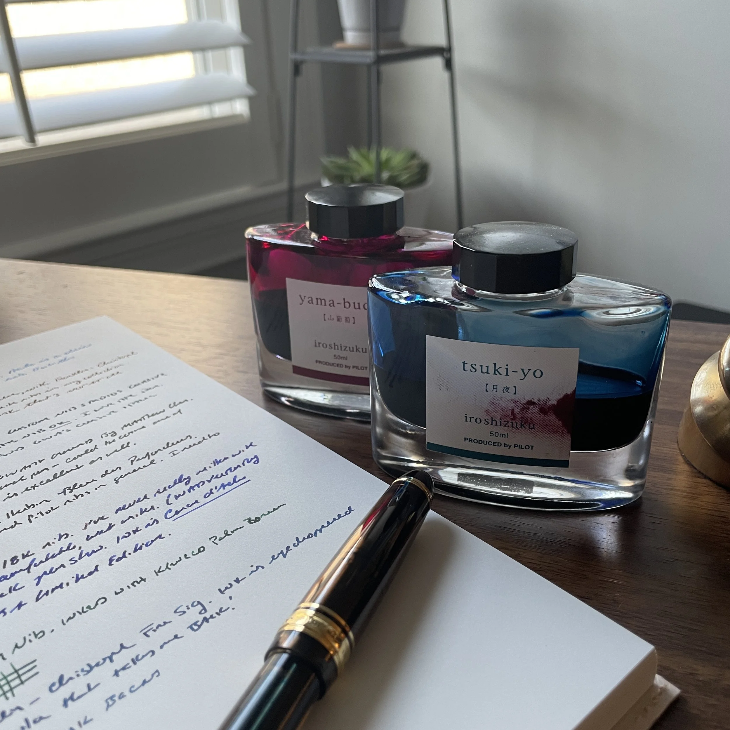 Reviews Revisited (2023): Pilot Iroshizuku Tsuki-Yo (Moonlight) and ...