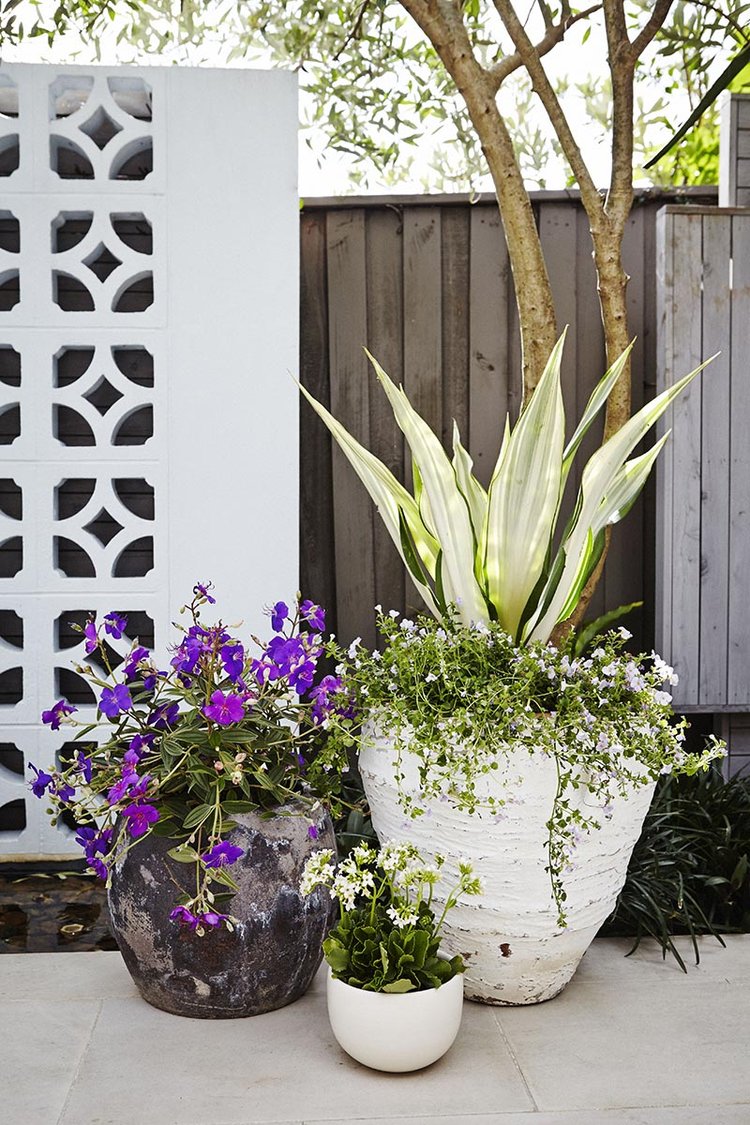 STYLE TIP - Creating Pot Clusters — Adam Robinson Design