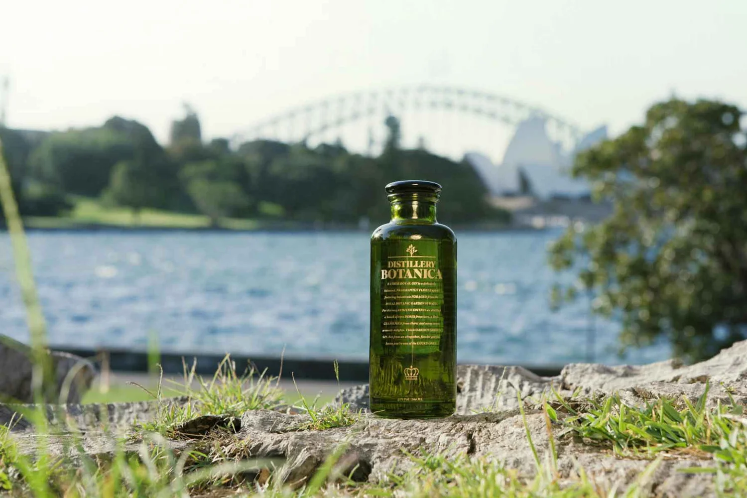 A Rather Royal Gin — Adam Robinson Design