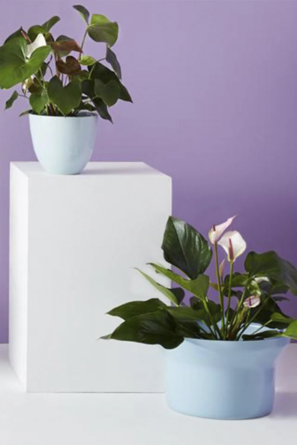 IVY MUSE Planters — Adam Robinson Design