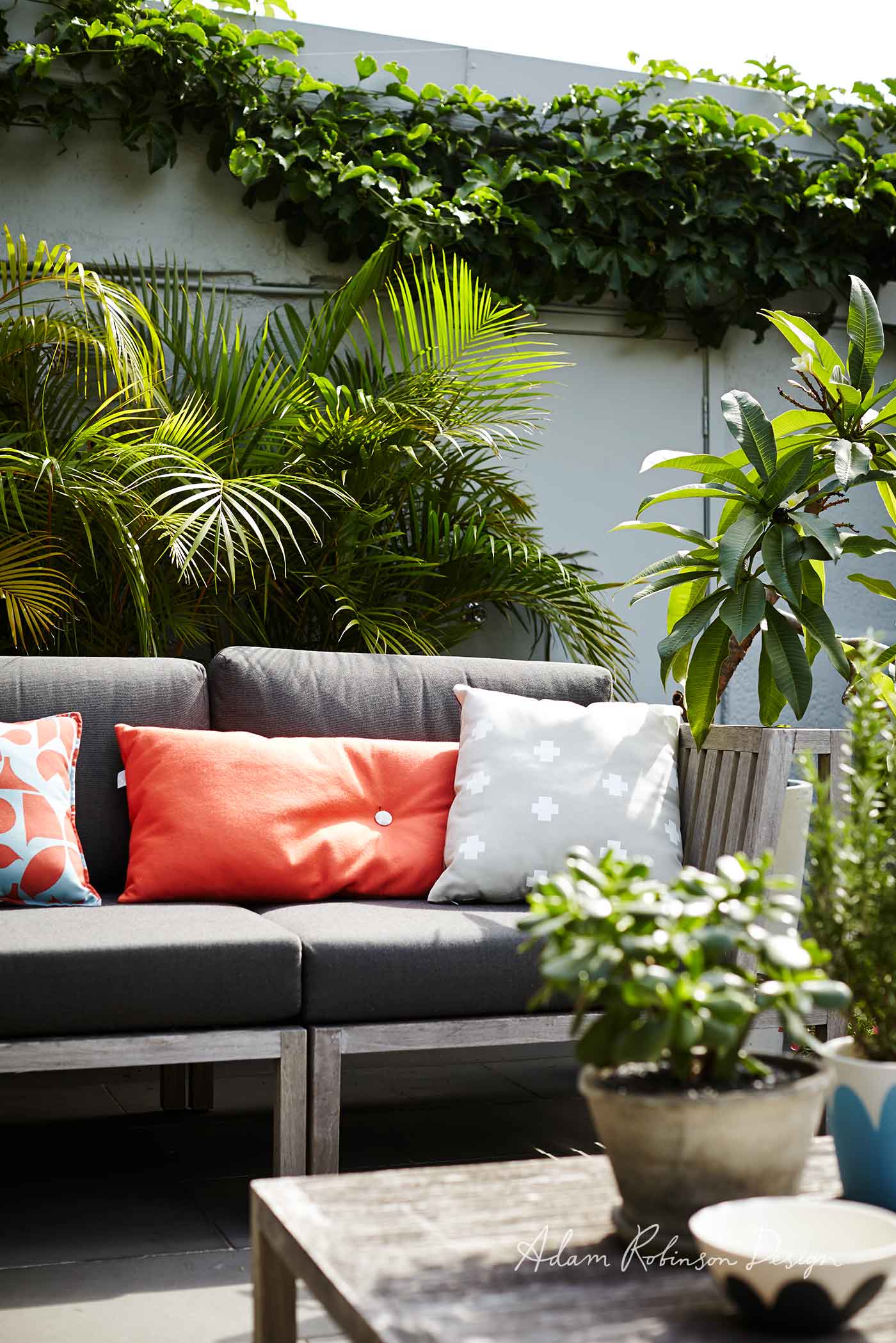 Landscape Design Kingsford — Adam Robinson Design