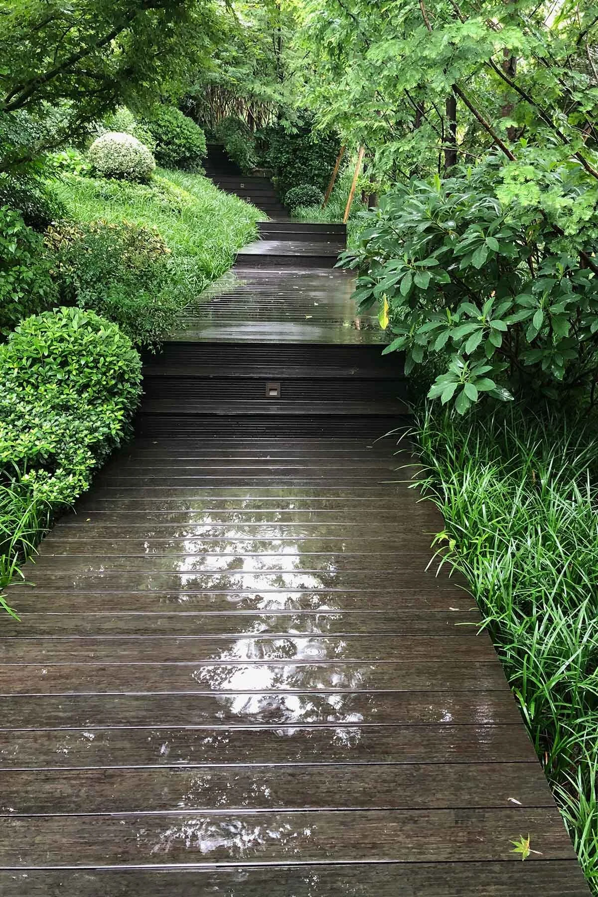 Bamboo Decking — Adam Robinson Design