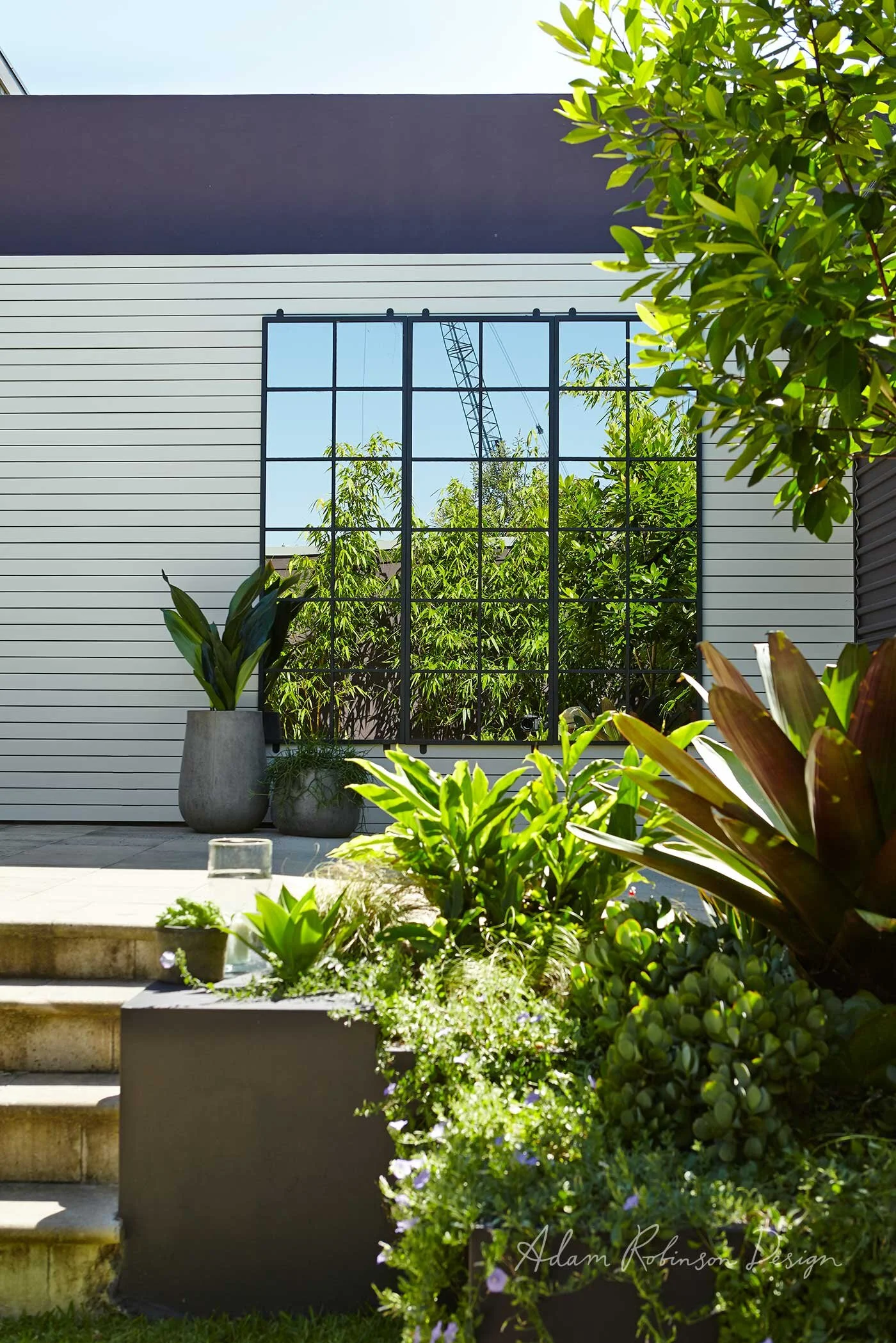 Glebe Garden Makeover — Adam Robinson Design