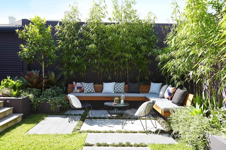 Glebe Garden Makeover — Adam Robinson Design