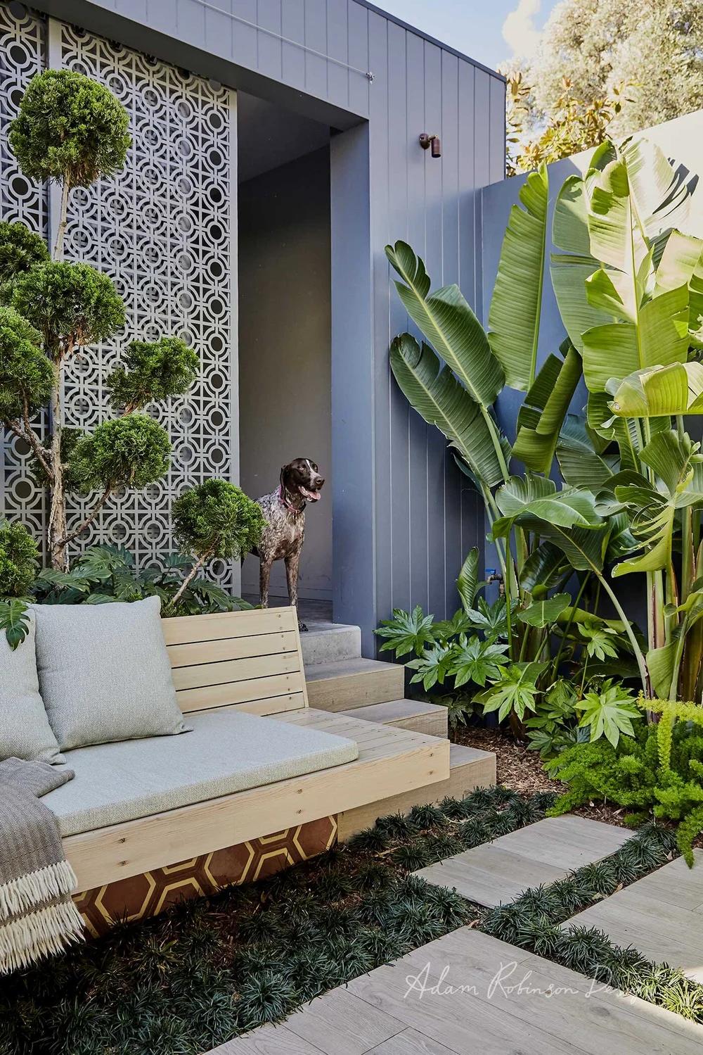 Cloud Trees — Adam Robinson Design