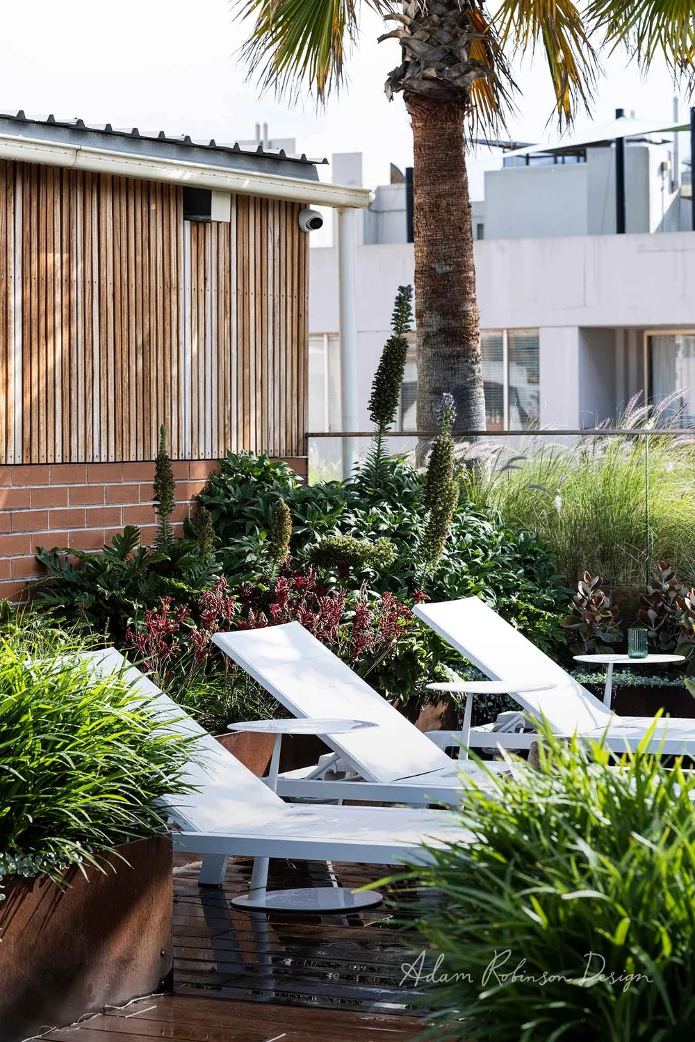 Urban Communal Garden — Adam Robinson Design