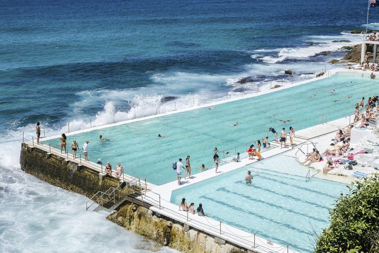 Summer Swims — Adam Robinson Design