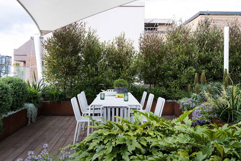 Urban Communal Garden — Adam Robinson Design