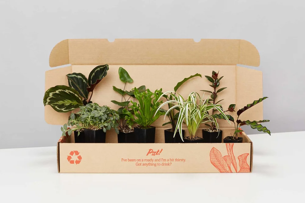 Plant Mail — Adam Robinson Design