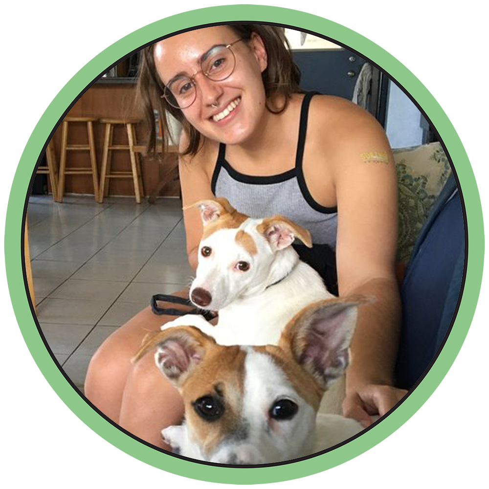 Our Team — Boston Fetch