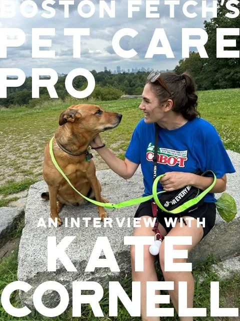 Say Hello to a Pet Care Pro! An interview with Kate Cornell — Boston Fetch