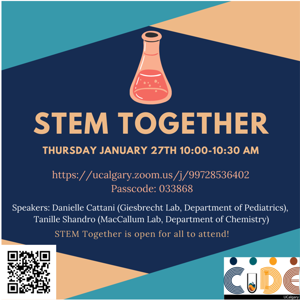 Supporting Chemists for Inclusivity, Diversity & Equity through their ...