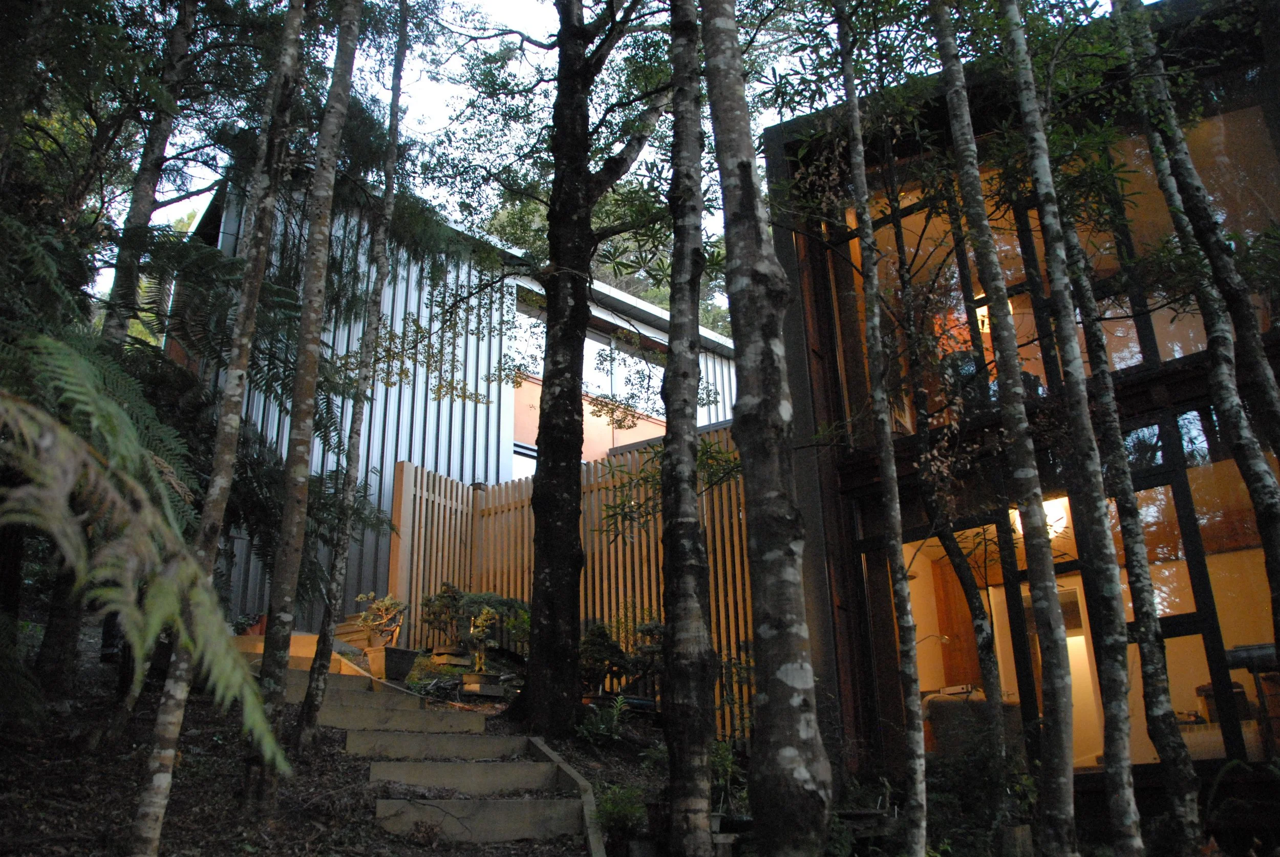 Craig and Coltart wellington residential architects Residential architects