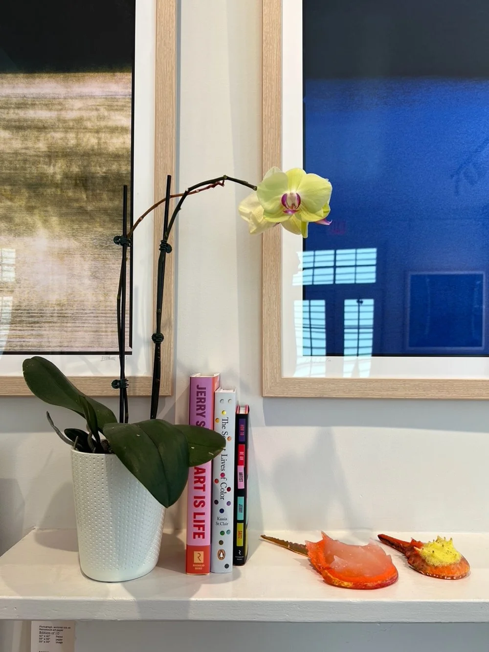 Corrigan Gallery — CHARLESTON GALLERY ASSOCIATION