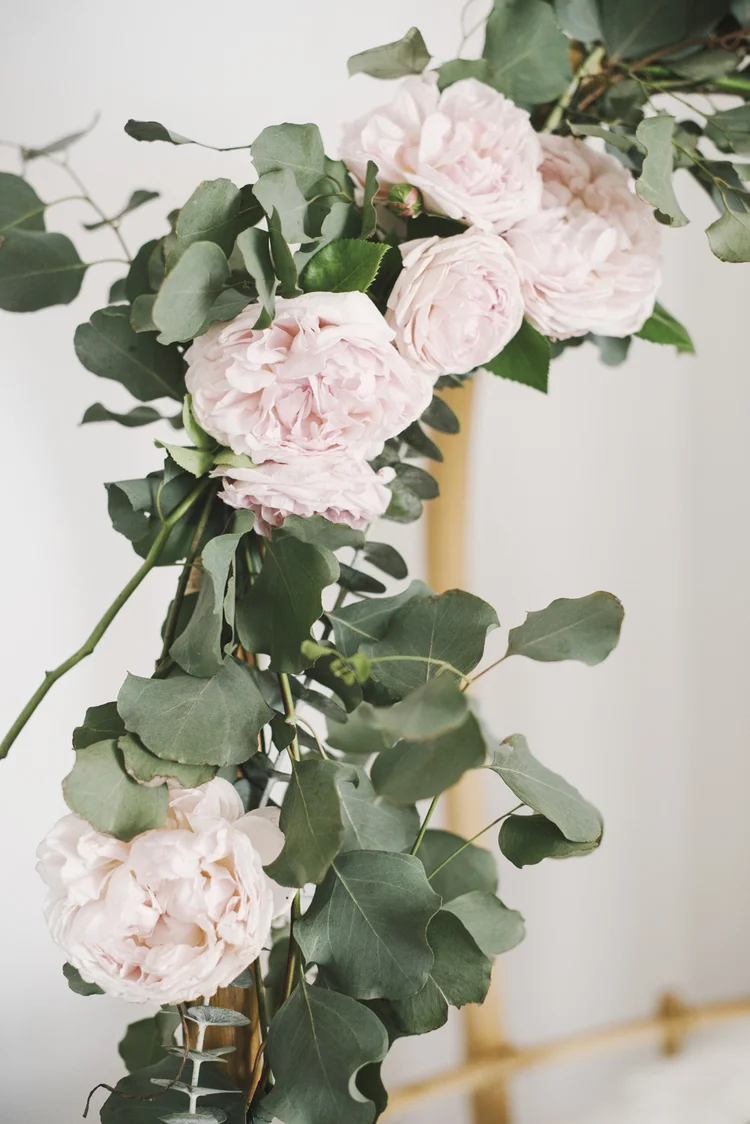Introducing, My New Boudoir Studio! — Ellie Koleen Photography - Fresno ...