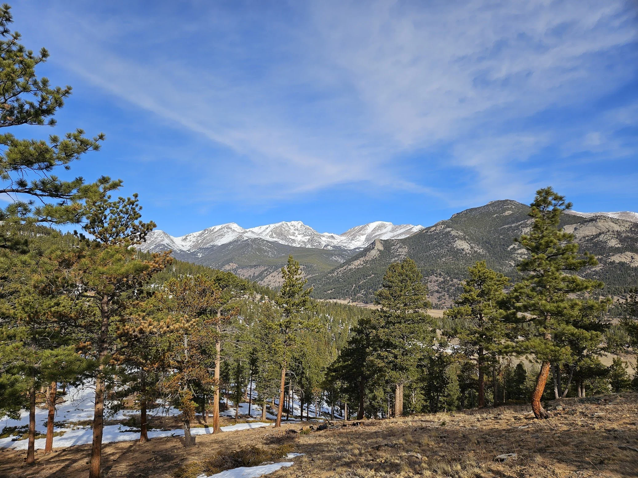 Do you have what it takes to pass this physical test to join the FBI ...