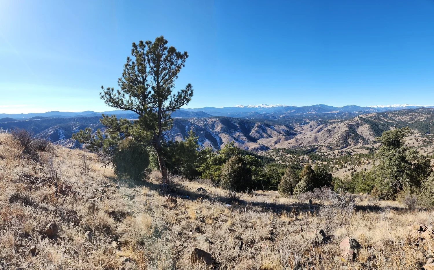 Colorado Hikes near Denver: Mount Morrison South Ridge Trail — Personal ...