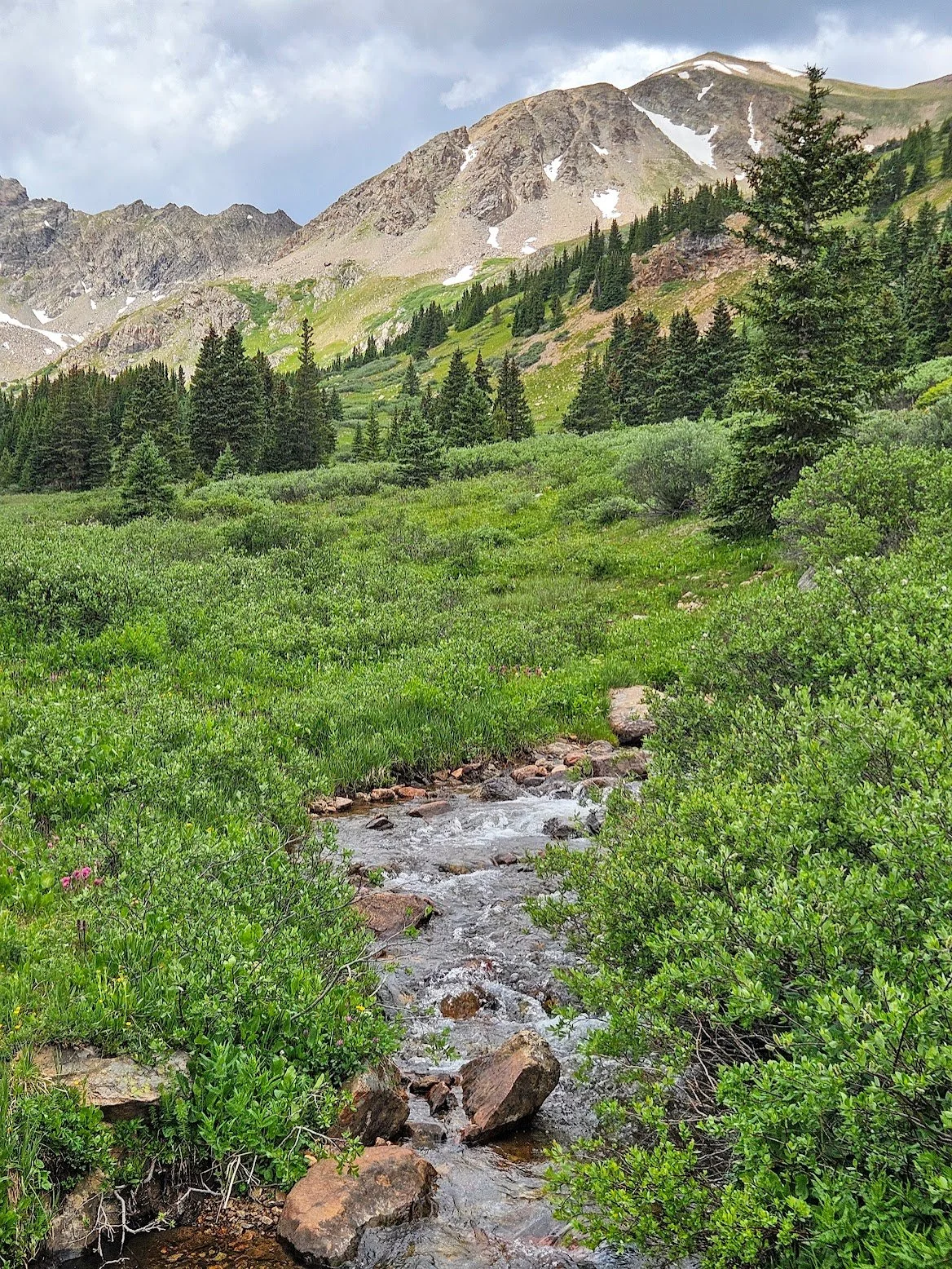 Citadel via Herman Gulch Trail: Complete Colorado 13er Hike Guide ...