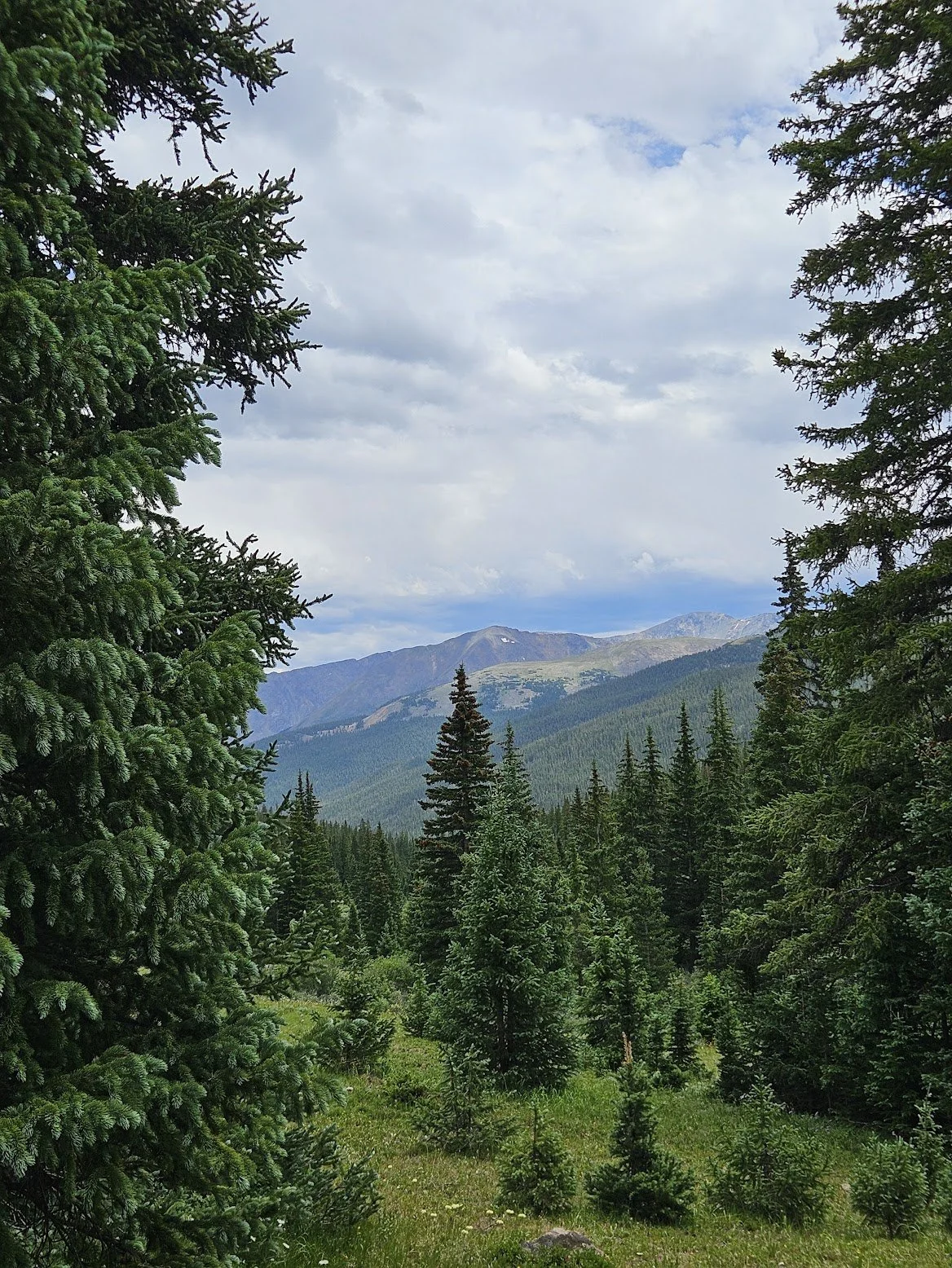 Citadel via Herman Gulch Trail: Complete Colorado 13er Hike Guide ...