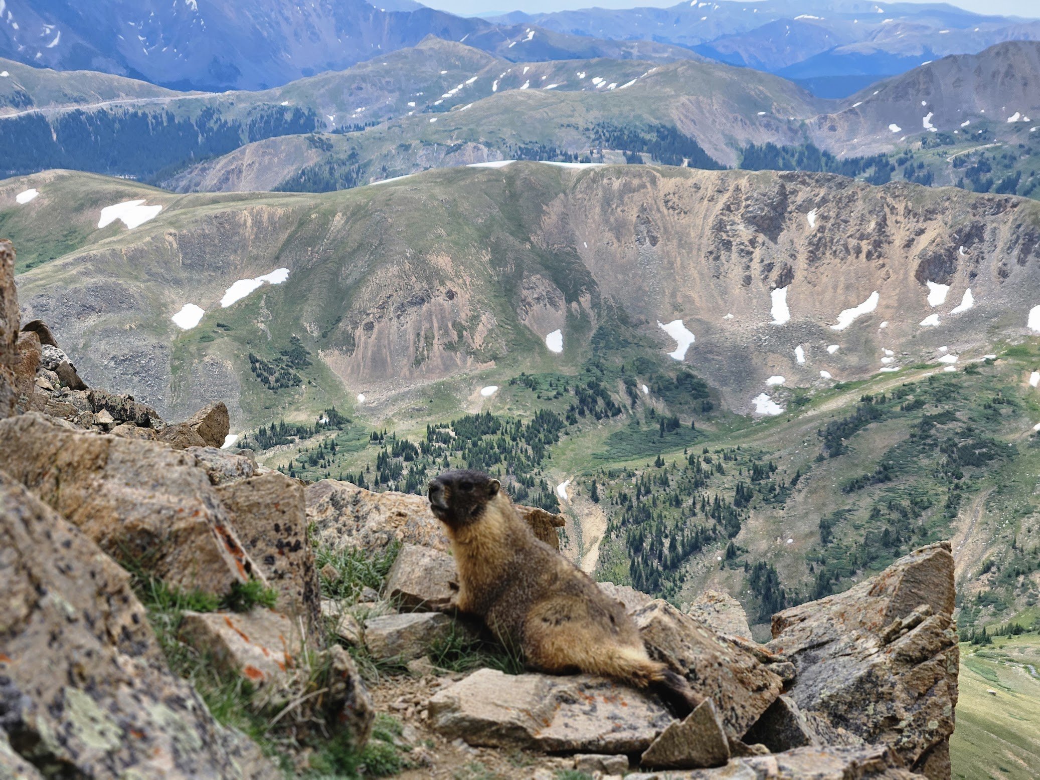 Citadel via Herman Gulch Trail: Complete Colorado 13er Hike Guide ...