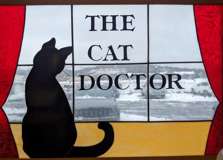 About — The Cat Doctor