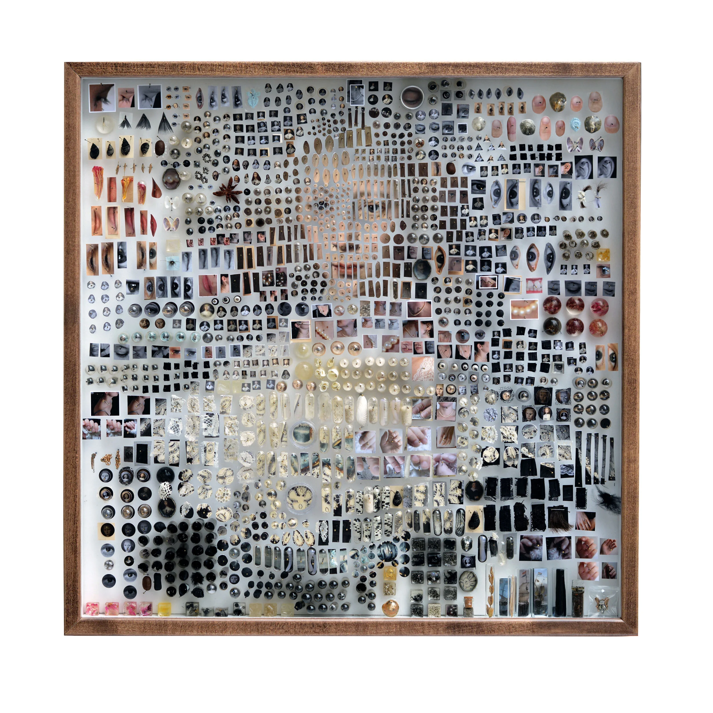 Dutch Masters — Michael Mapes