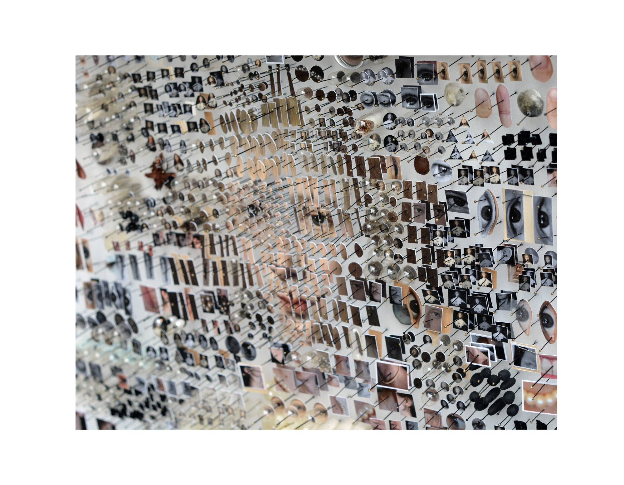 Dutch Masters — Michael Mapes