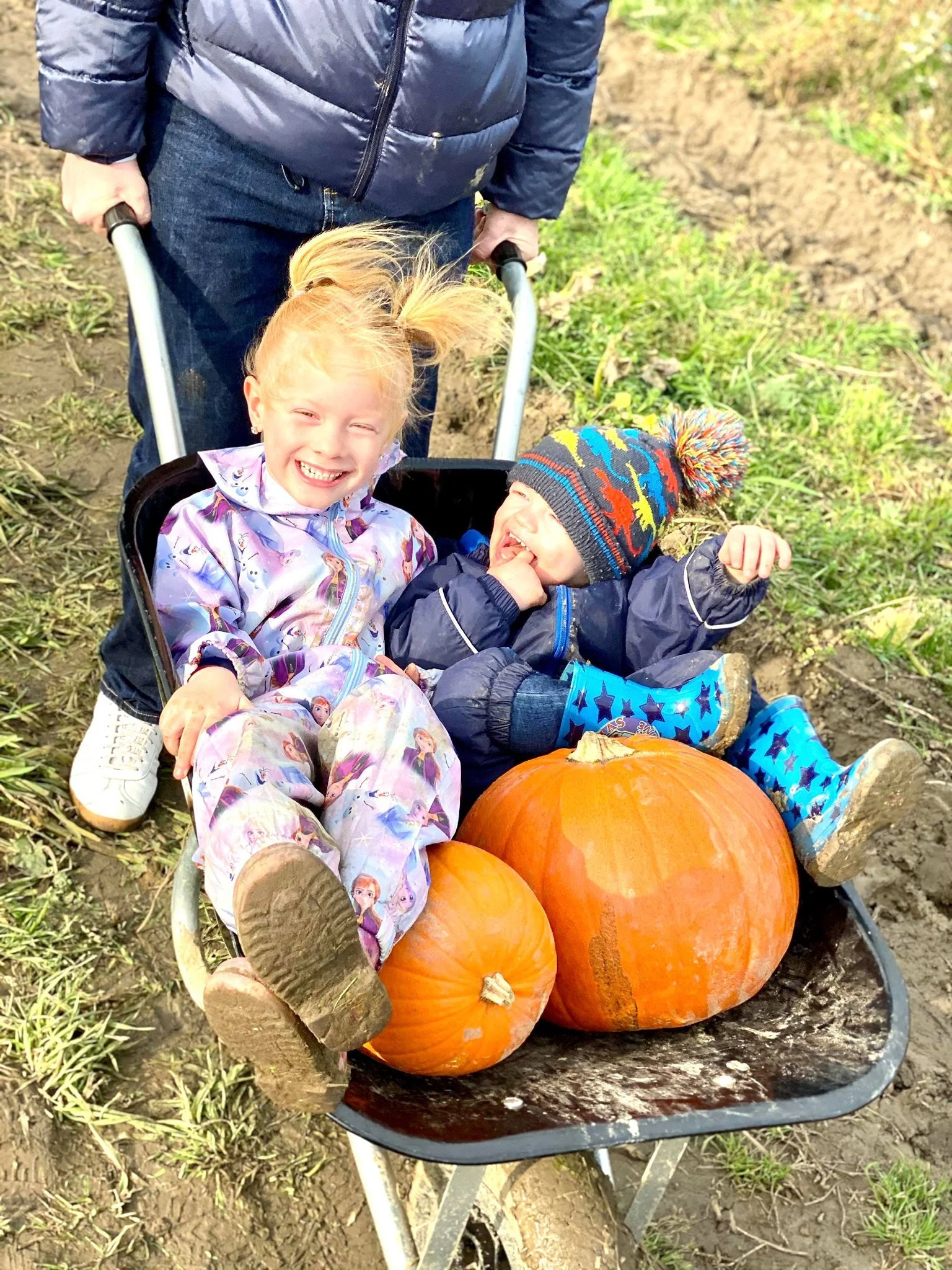Pumpkins 2024 — Bert’s Barrow
